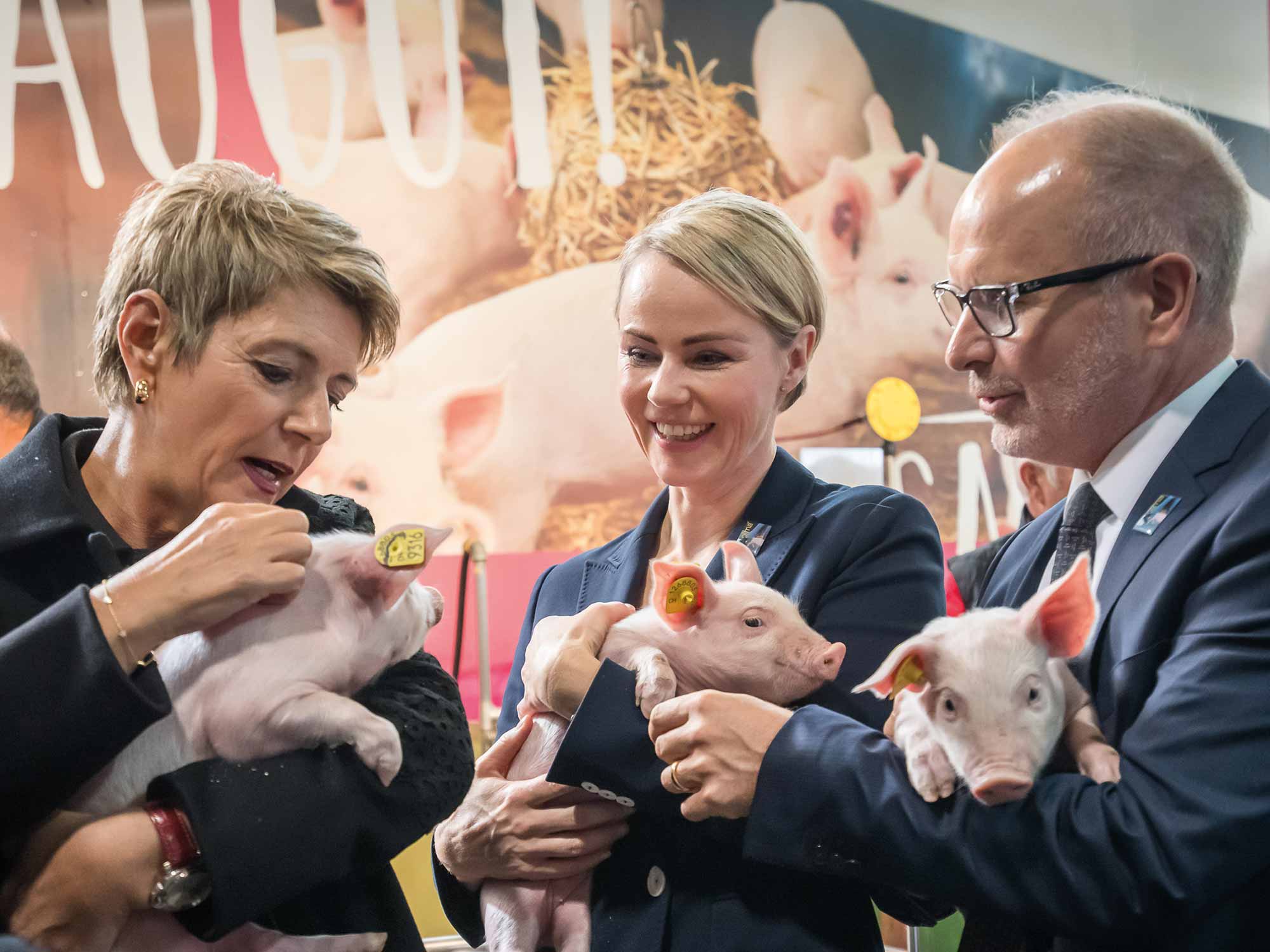 network und die Olma: Fast so traditionell wie das Säuli-Kuscheln